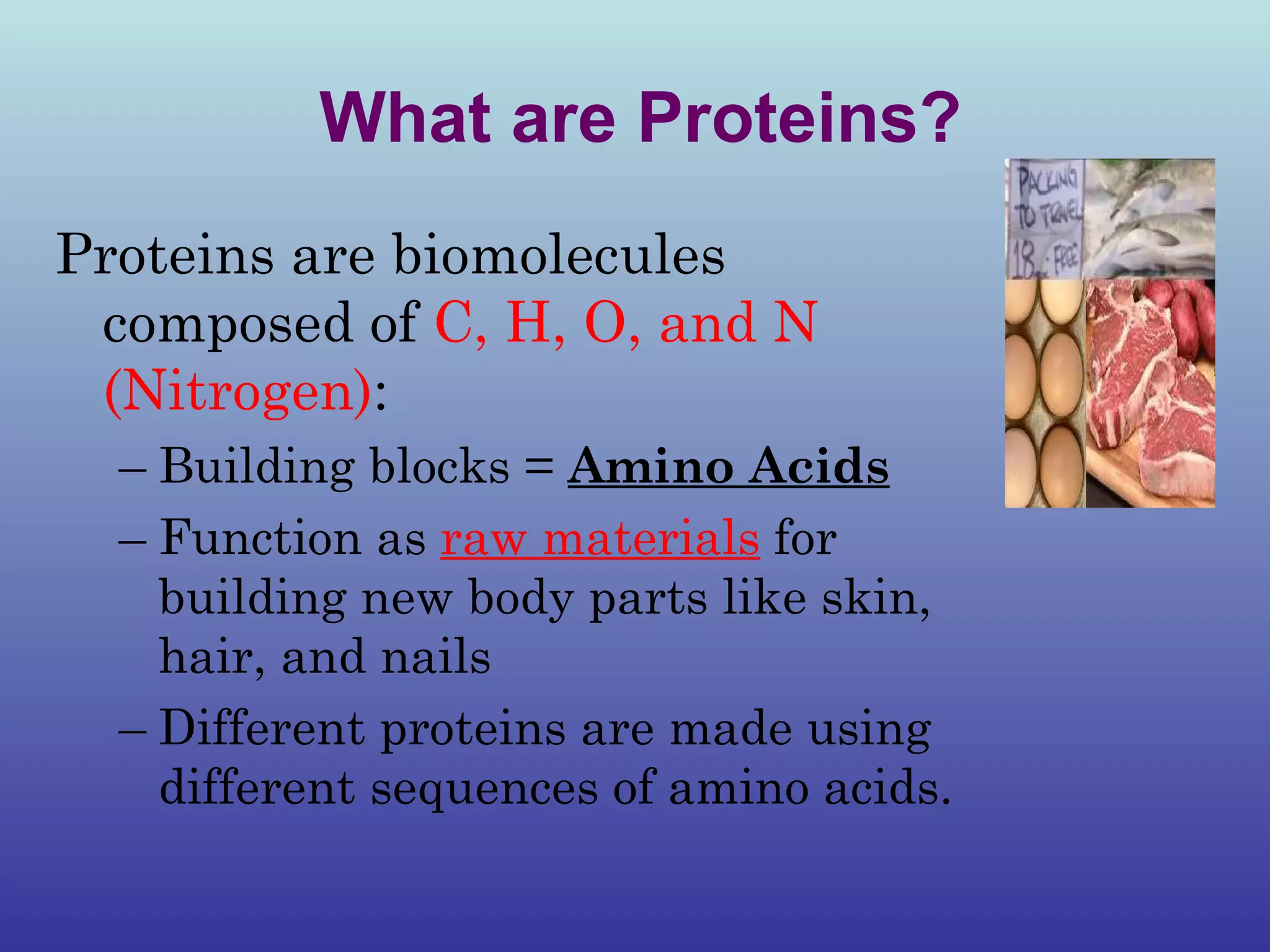 Proteins and nucleic acids notes | PPT