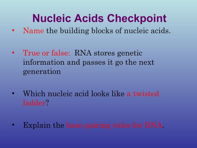 Proteins and nucleic acids notes | PPT