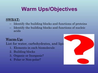 Proteins and nucleic acids notes | PPT