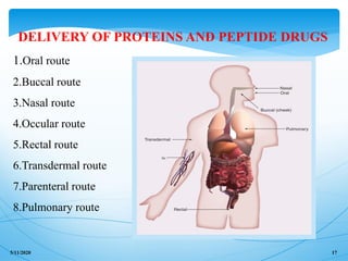 Proteins and peptide drug delivery system | PDF