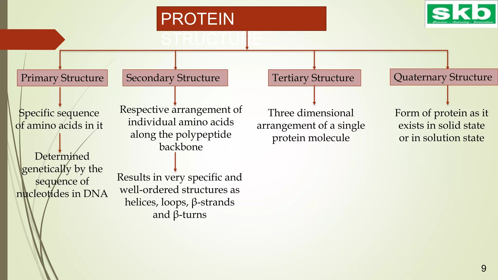Proteins and peptides dds | PPTX