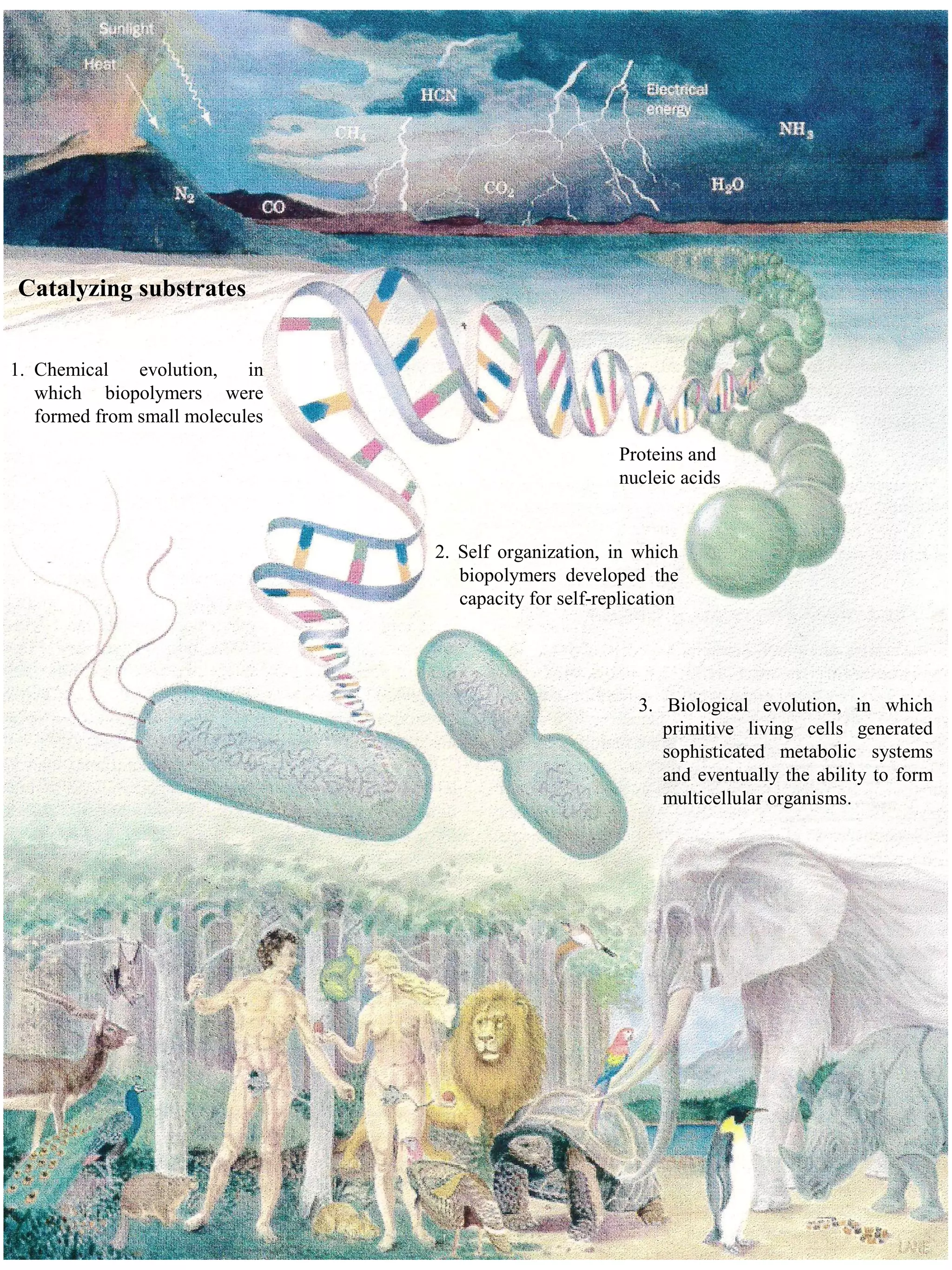 Proteins and their biological structures | PPT