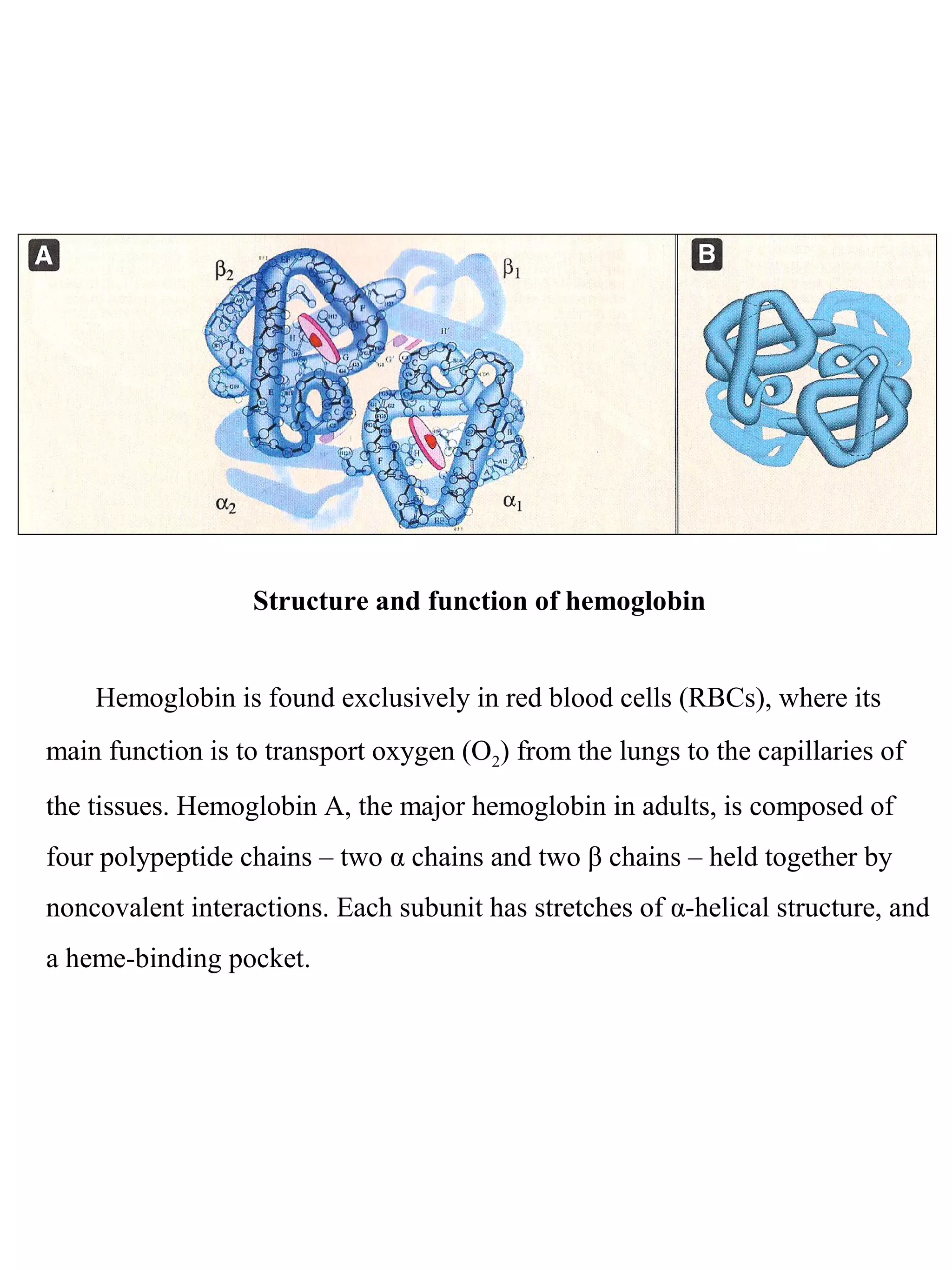 Proteins and their biological structures | PPT