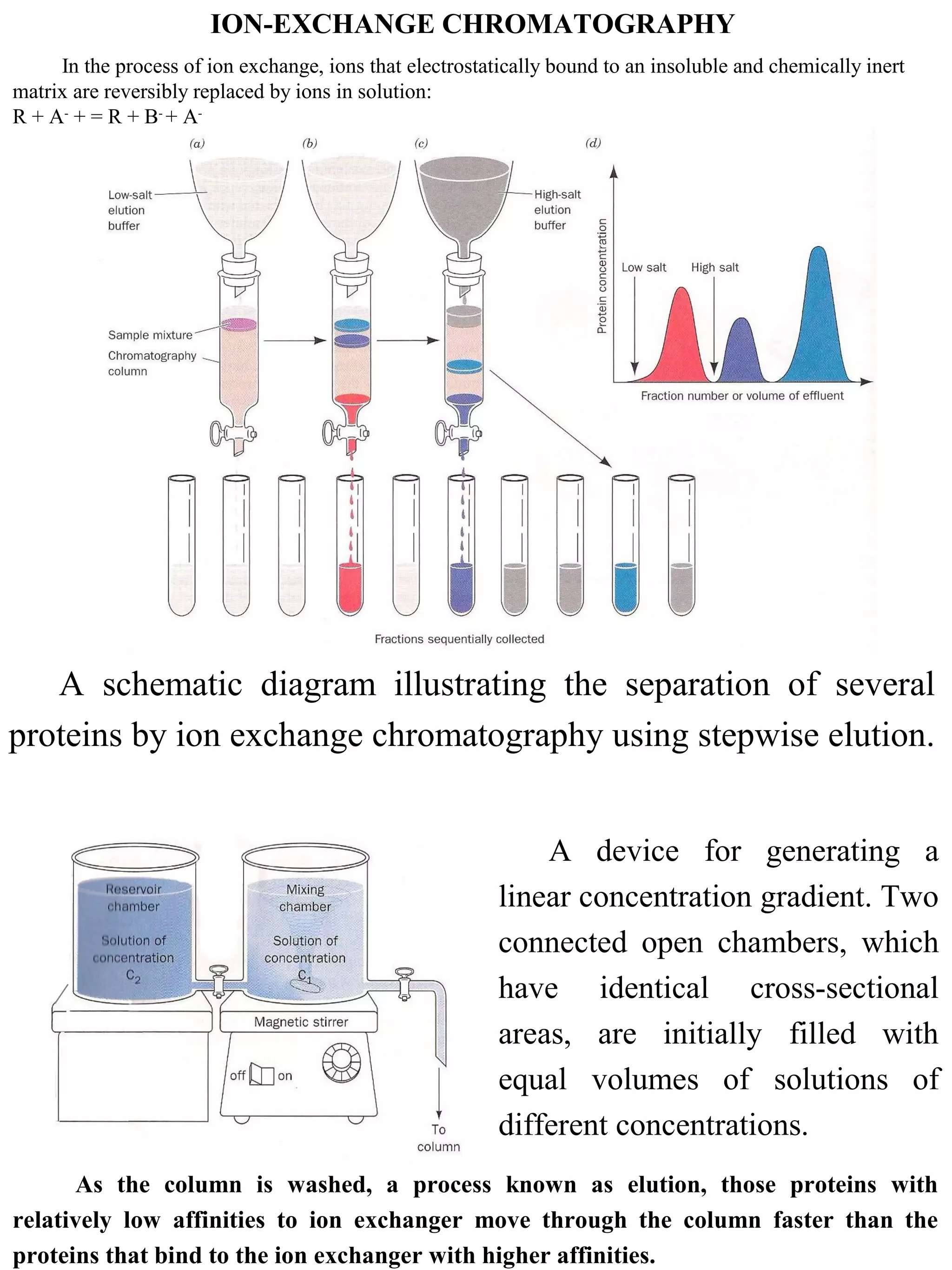 Proteins and their biological structures | PPT