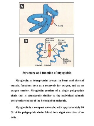Proteins and their biological structures | PDF