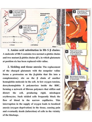 Proteins and their biological structures | PPT