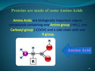 Proteins Biochemistry 2 outline of I.pptx