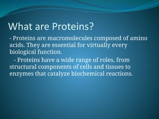 Proteins Biochemistry 2 outline of I.pptx