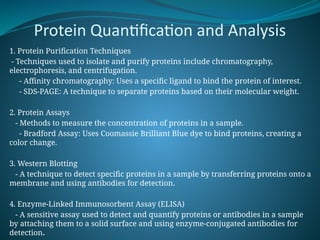 Proteins Biochemistry 2 outline of I.pptx