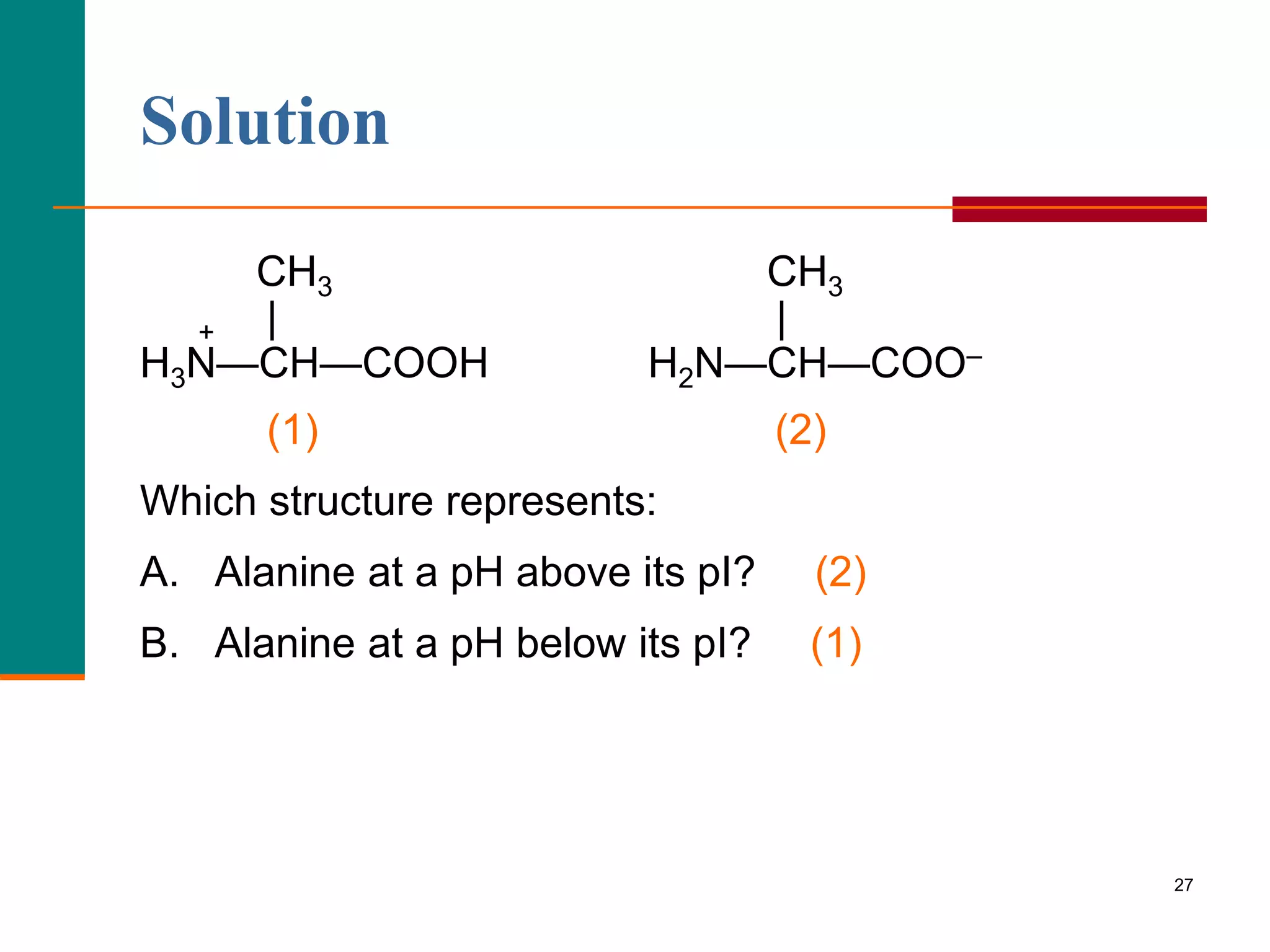 Proteins Biochemistry (Biokimia Protein) 2020 version | PPT