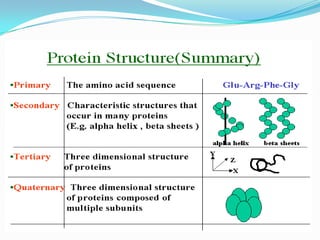 Proteins by anjali kotwal | PPT