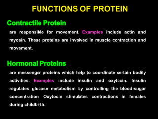 Structure, Chemical Properties, and Function of Proteins, Intracellular ...
