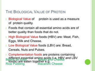 proteins chemistry.pptx.pdf sishsbeisbsjissb | PPT