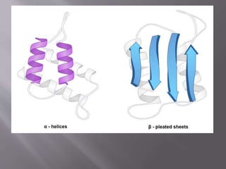 Proteins chemistry project.pptx chemistry practical | PPTX
