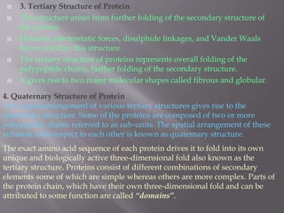 Proteins chemistry project.pptx chemistry practical | PPTX