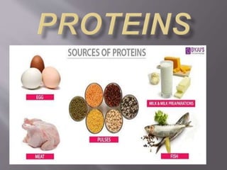 Proteins chemistry project.pptx chemistry practical | PPT