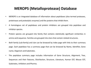 Proteins databases | PPTX