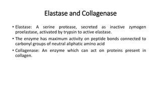 Proteins Dig. Abs..pptx