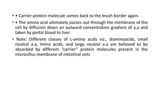 Proteins Dig. Abs..pptx