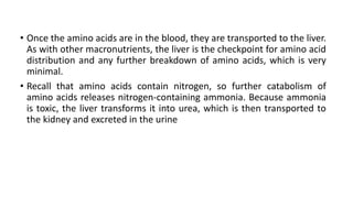 Proteins Dig. Abs..pptx