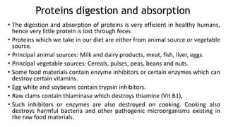 Proteins Dig. Abs..pptx