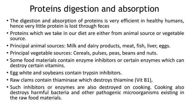 Proteins Dig. Abs..pptx