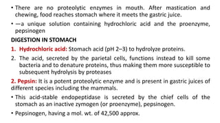 Proteins Dig. Abs..pptx