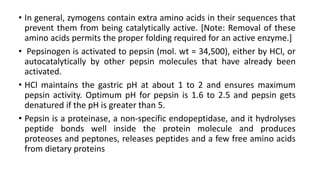 Proteins Dig. Abs..pptx