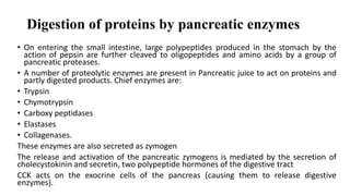 Proteins Dig. Abs..pptx