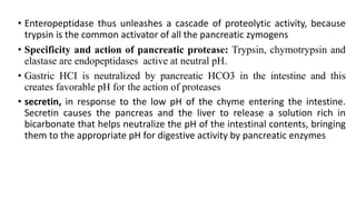 Proteins Dig. Abs..pptx
