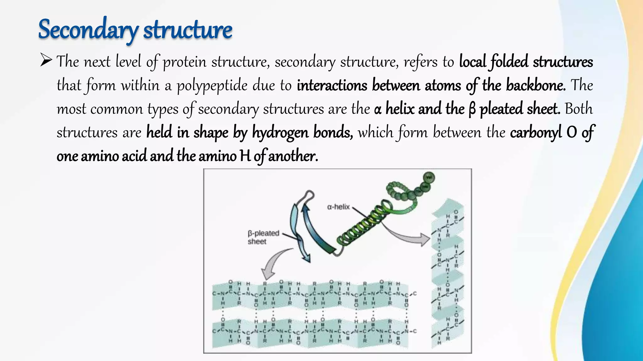 Proteins digestion, absorption, and metabolism | PPTX