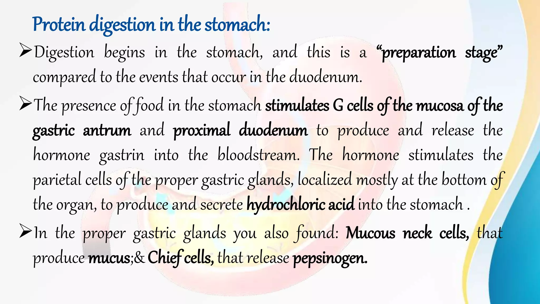 Proteins digestion, absorption, and metabolism | PPTX
