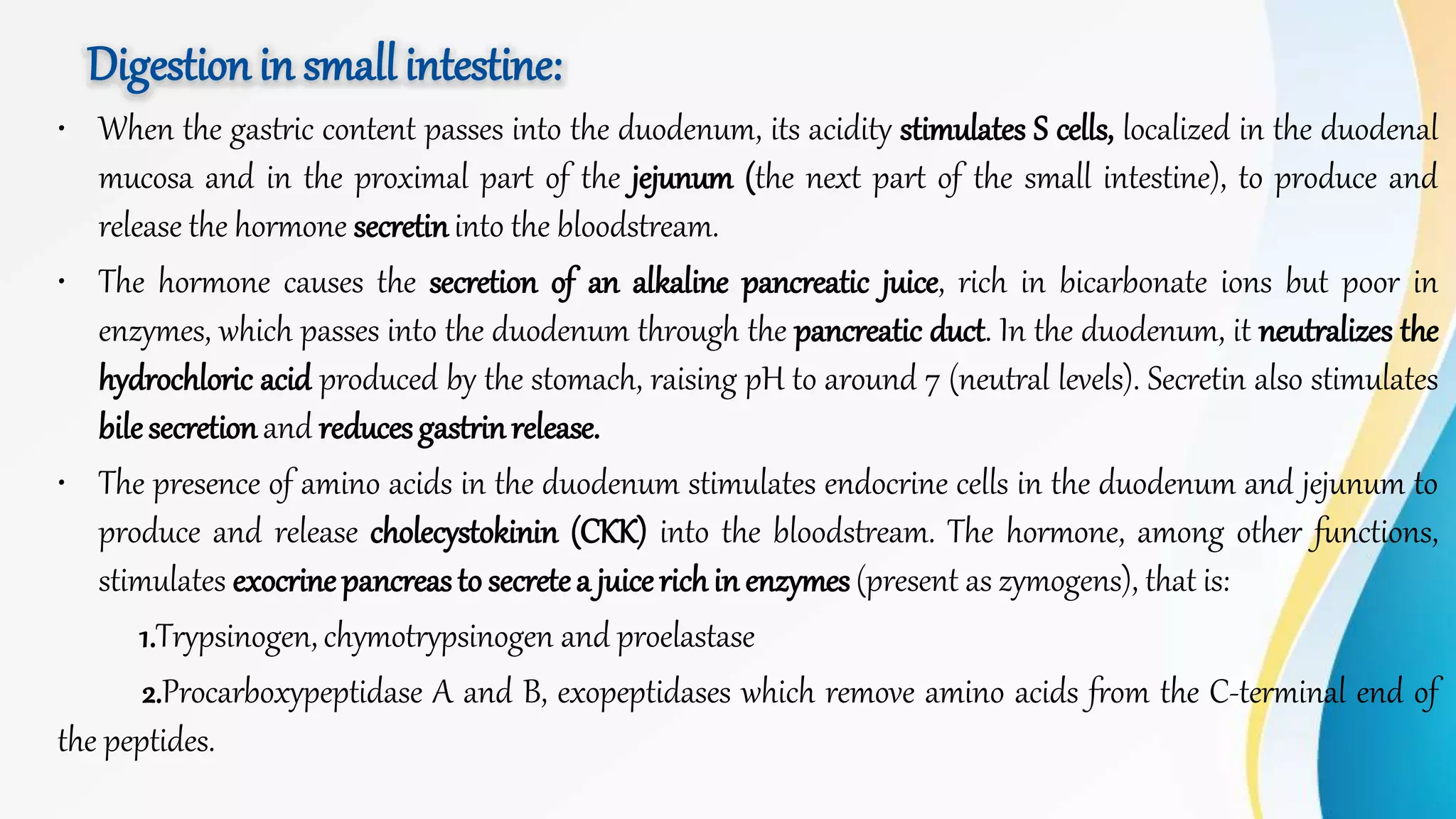 Proteins digestion, absorption, and metabolism | PPTX