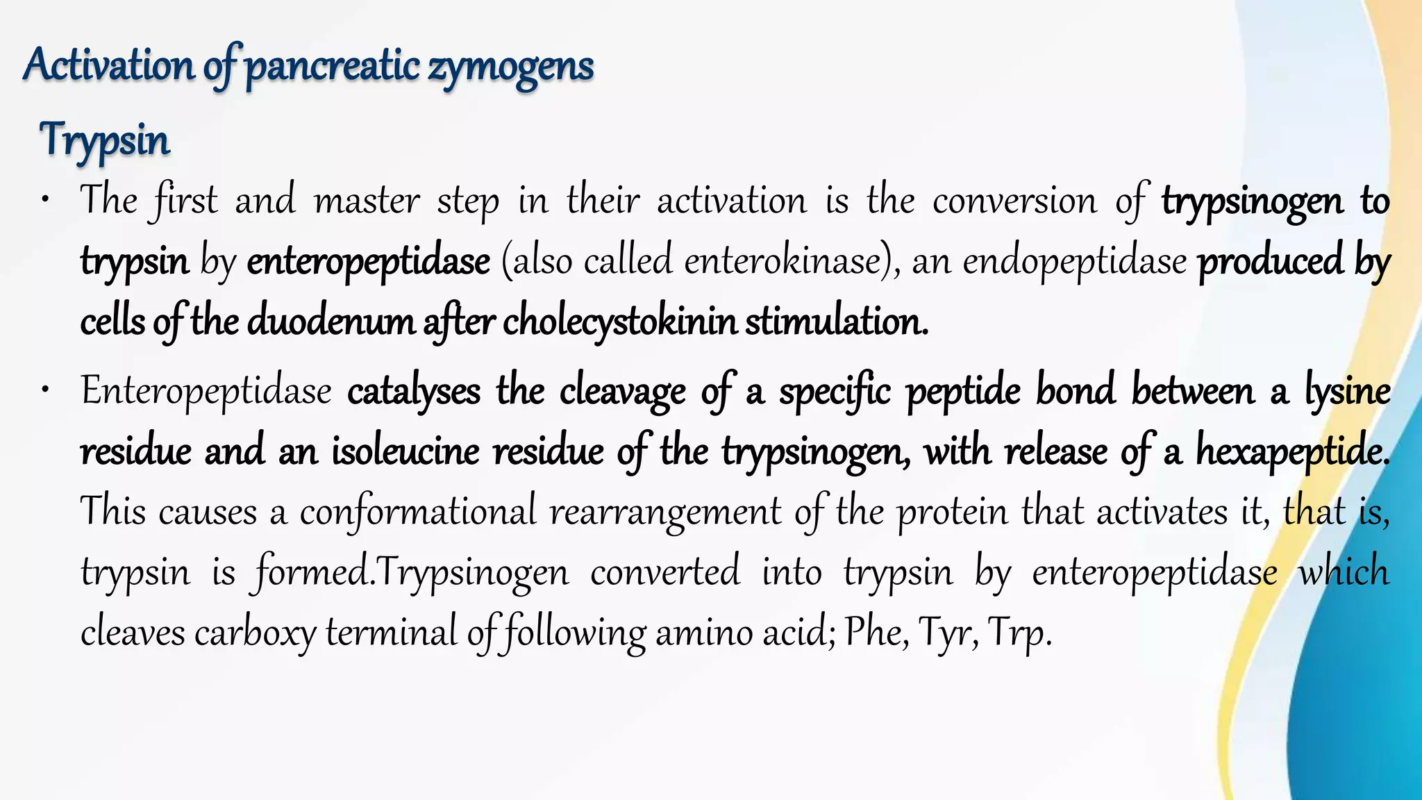 Proteins digestion, absorption, and metabolism | PPTX