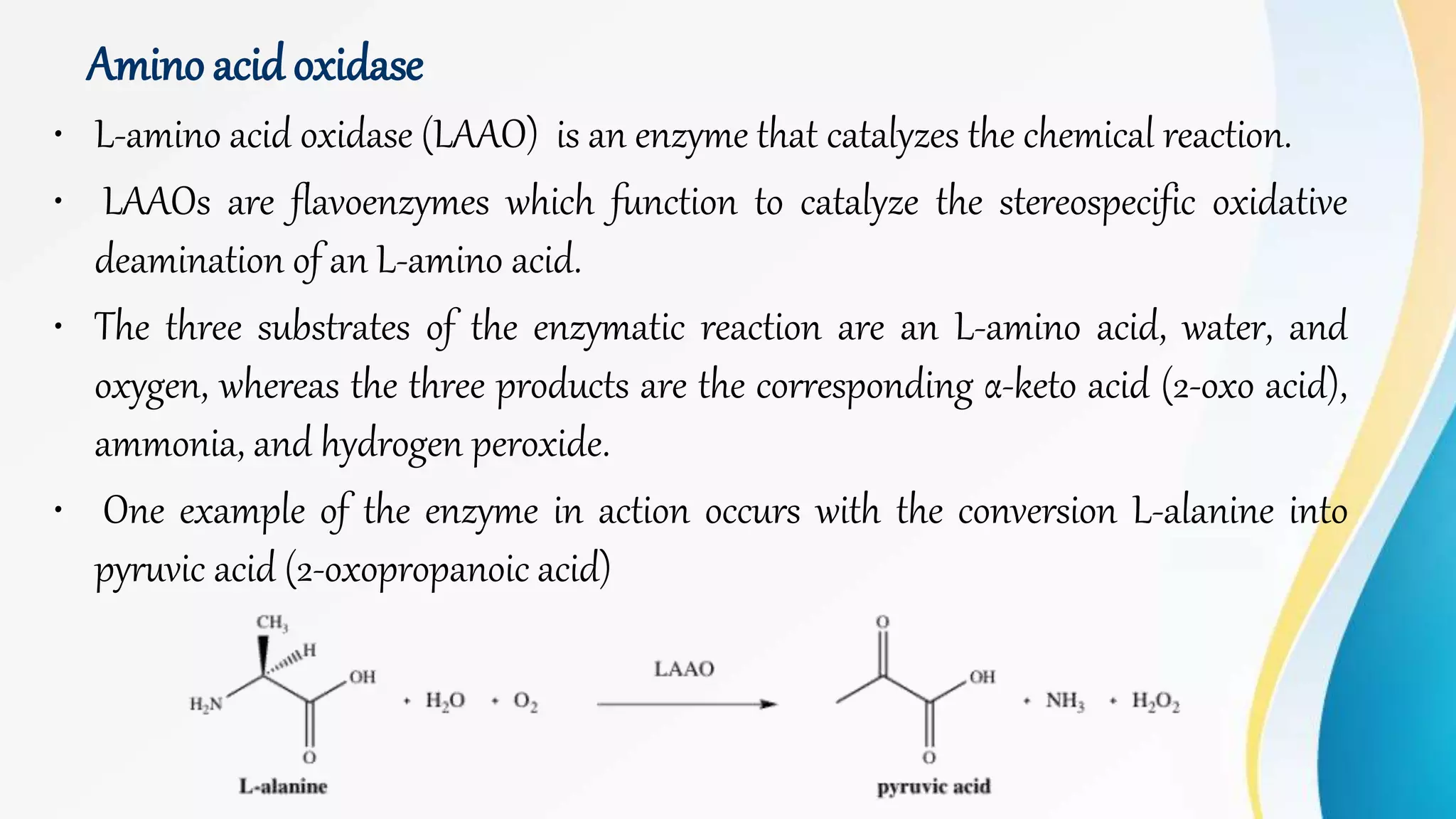Proteins digestion, absorption, and metabolism | PPTX