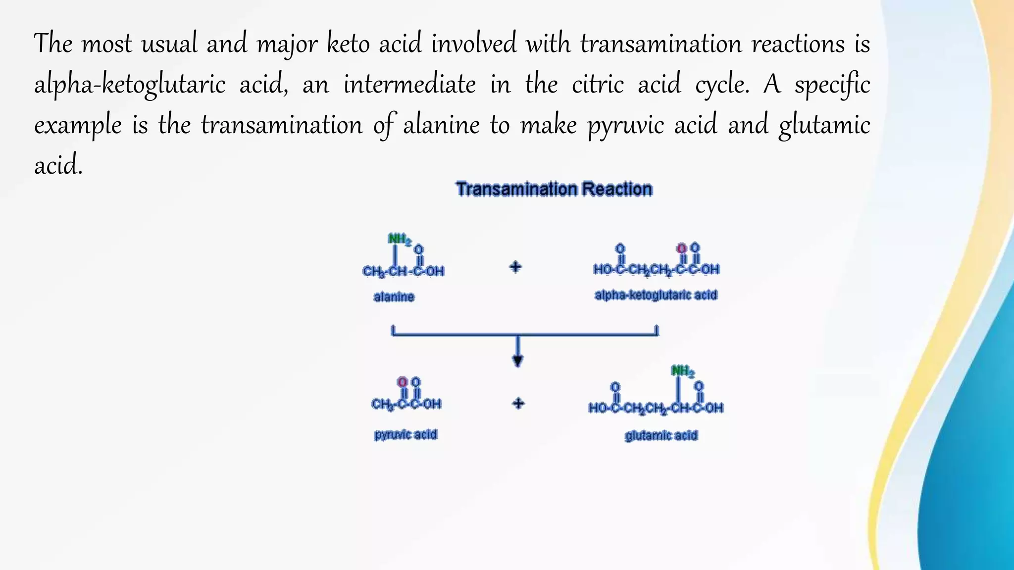 Proteins digestion, absorption, and metabolism | PPTX