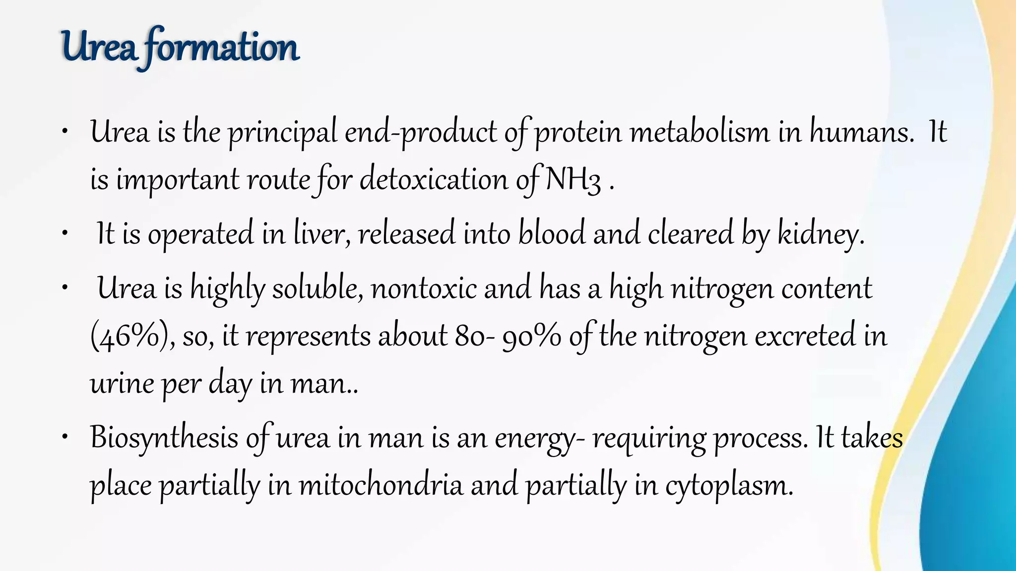 Proteins digestion, absorption, and metabolism | PPTX