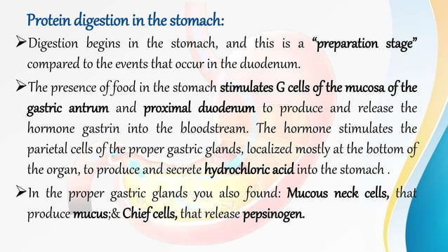 Proteins digestion, absorption, and metabolism | PPTX