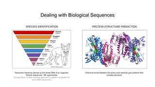Protein Secondary Structure Prediction using Deep Learning methods | PPTX