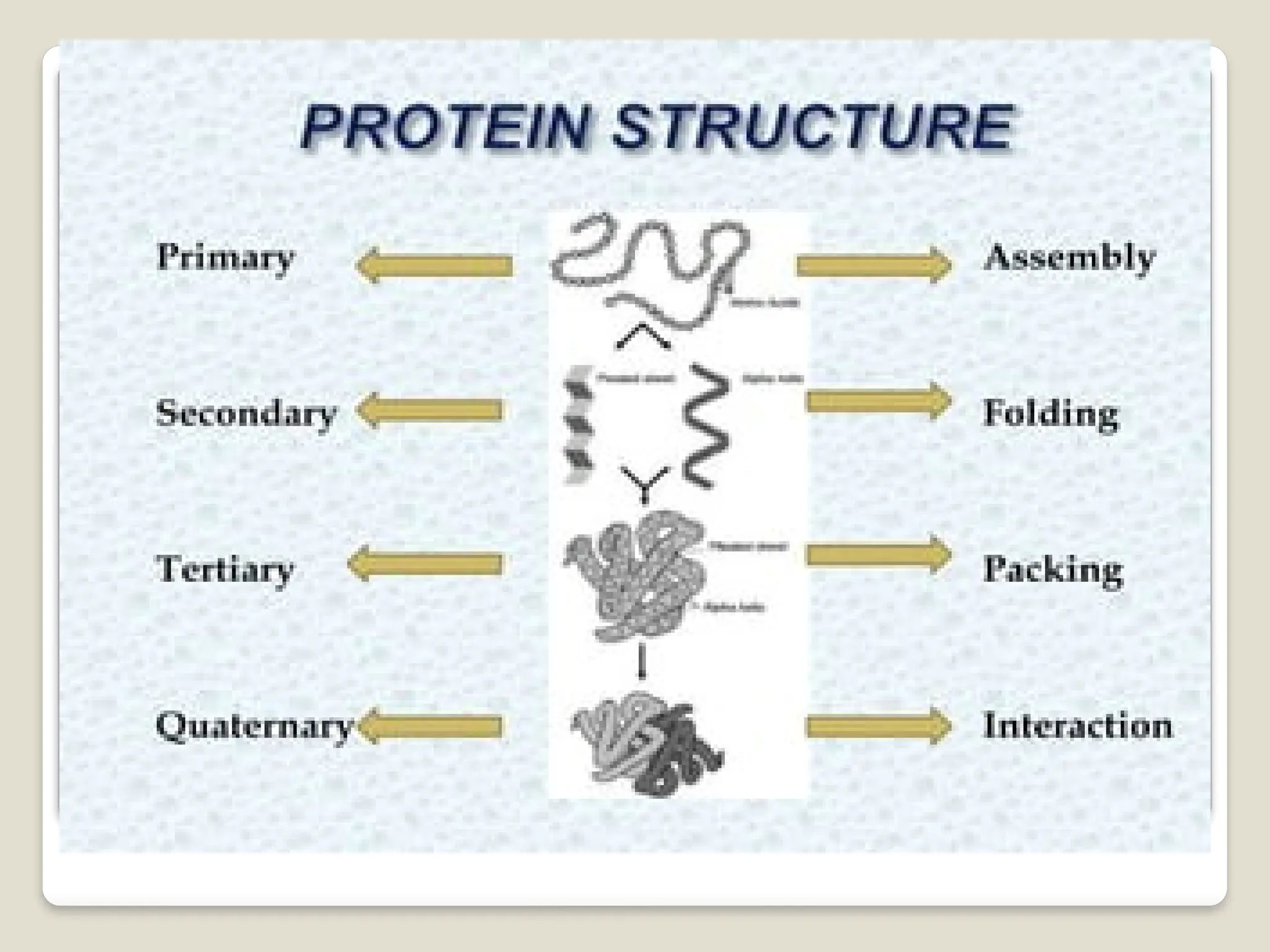 Protein, Classification of protein , properties of protein and structure of protein | PPTX