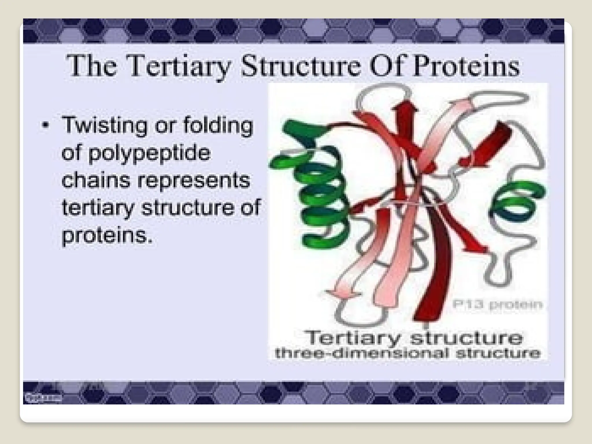 Protein, Classification of protein , properties of protein and ...