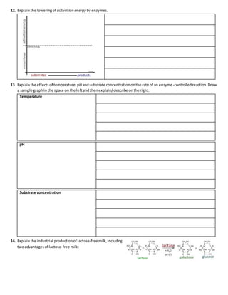 IB Proteins & Enzymes Review (2.4-2.5-7.3) | DOCX