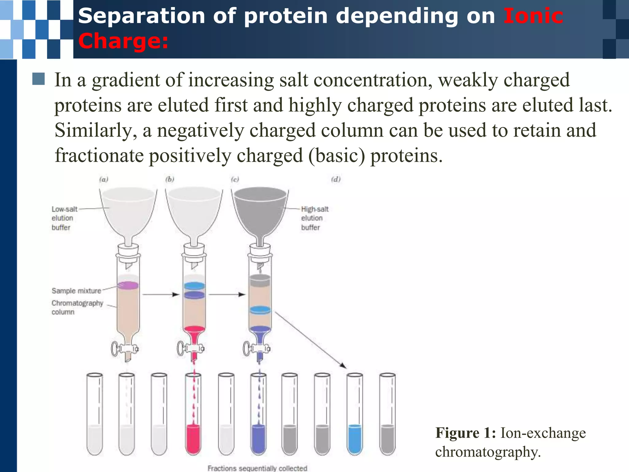 Protein Separation Methods Ppt Chemistry Science