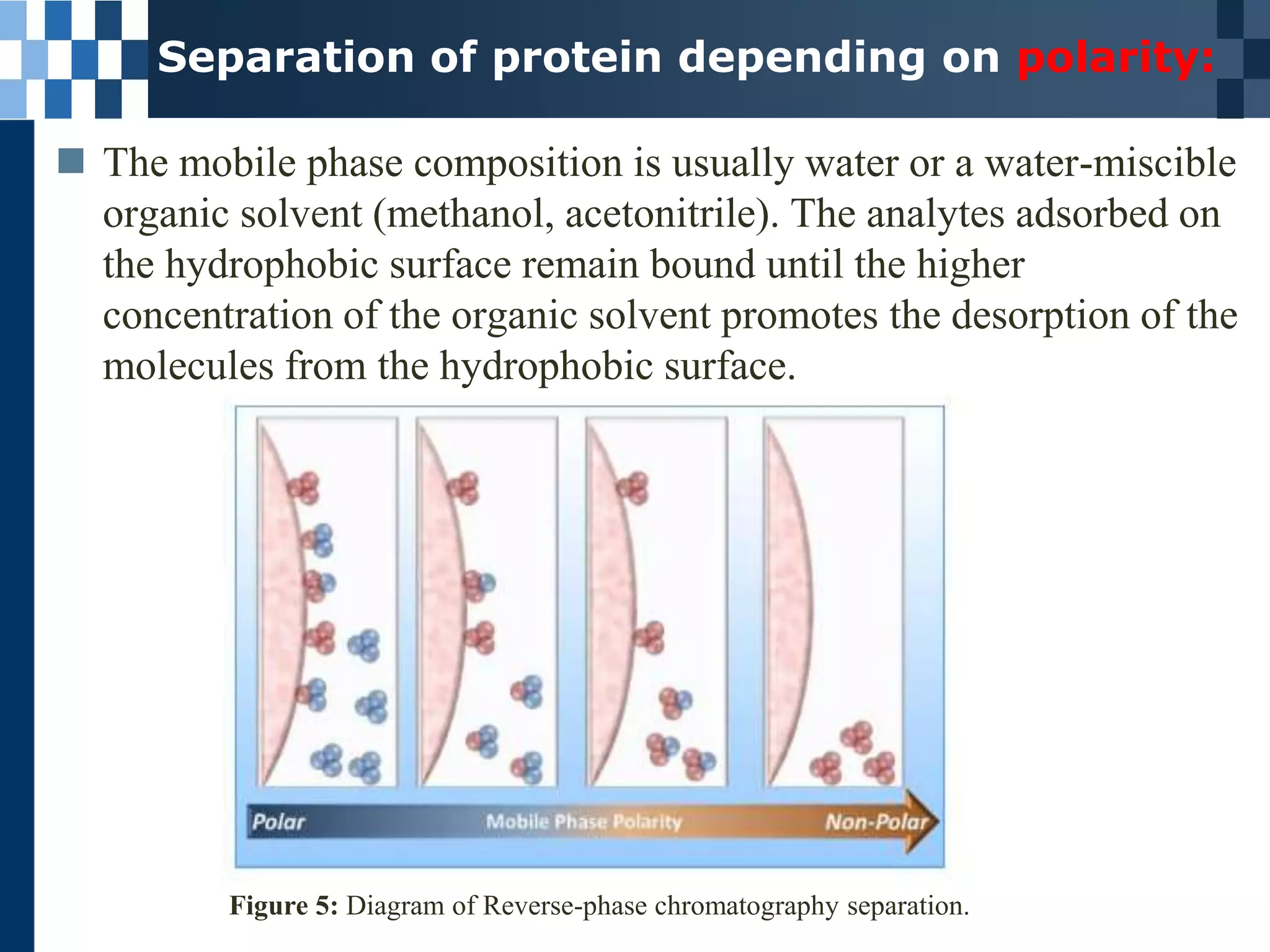 Protein separation methods | PPT