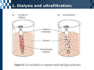 Protein separation methods | PPT