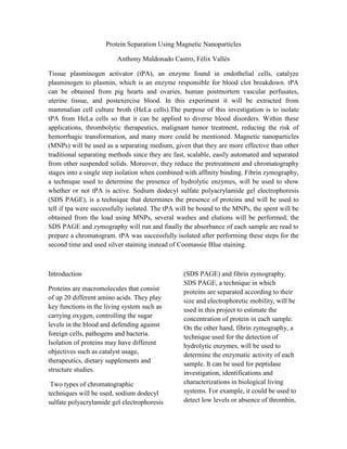 Protein separation using magnetic nanoparticles | DOCX