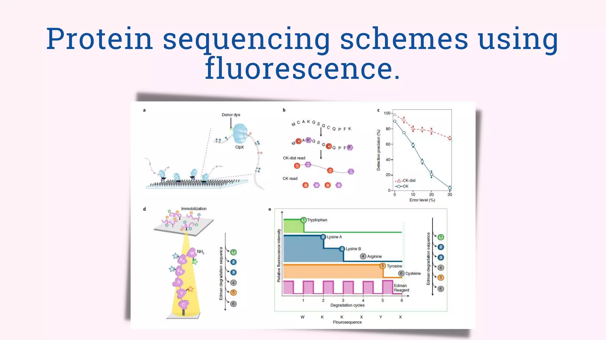 PROTEIN SEQ BGS052112.pptx