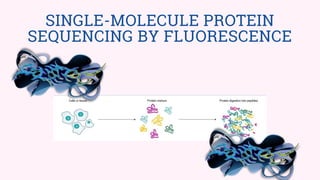 PROTEIN SEQ BGS052112.pptx