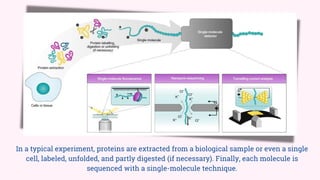 PROTEIN SEQ BGS052112.pptx