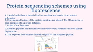 PROTEIN SEQ BGS052112.pptx